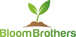 Bloom Brothers | Pittsfield, MA Dispensary | AllBud