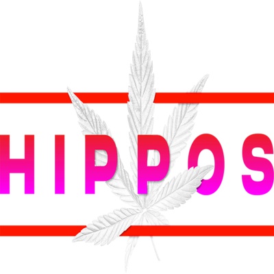 Hippos Weed Dispensary Columbia | Columbia, MO | AllBud