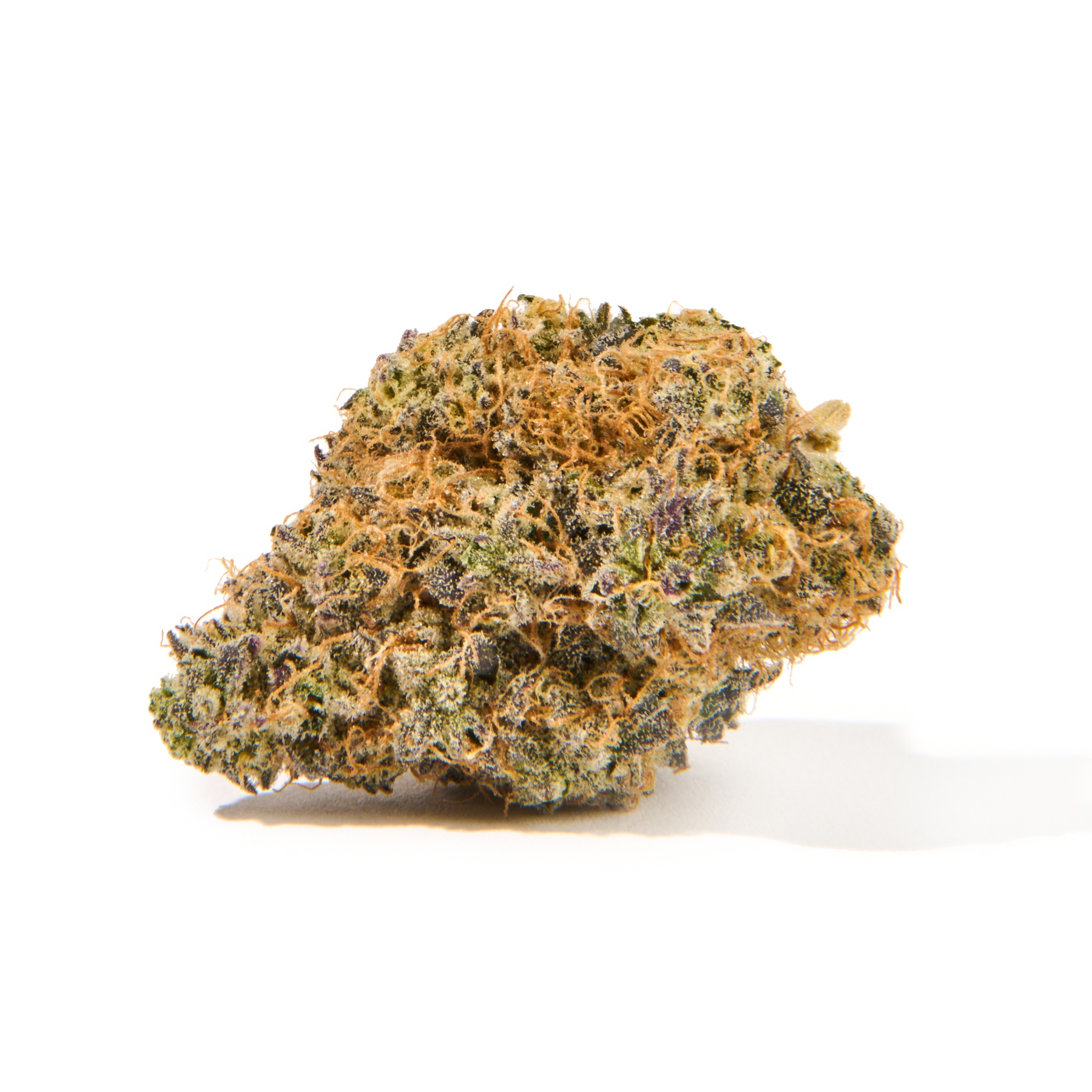 91 Royale (Indica) ... | NETA - Brookline | AllBud