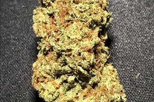 Romulan | Marijuana Strain Reviews | AllBud