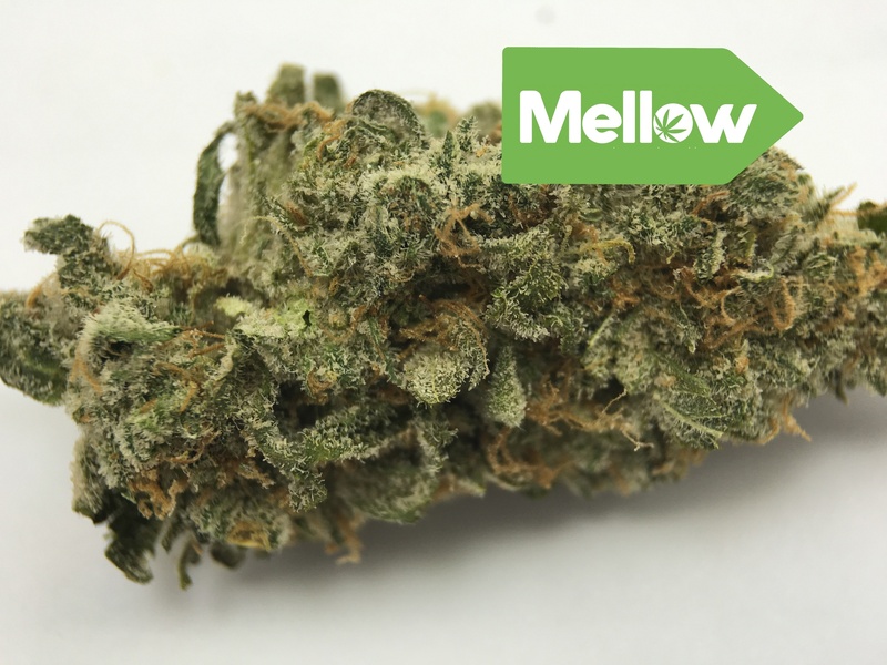 Romulan | Marijuana Strain Reviews | AllBud