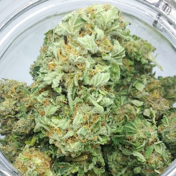 Alien Blues | Marijuana Strain Reviews | AllBud