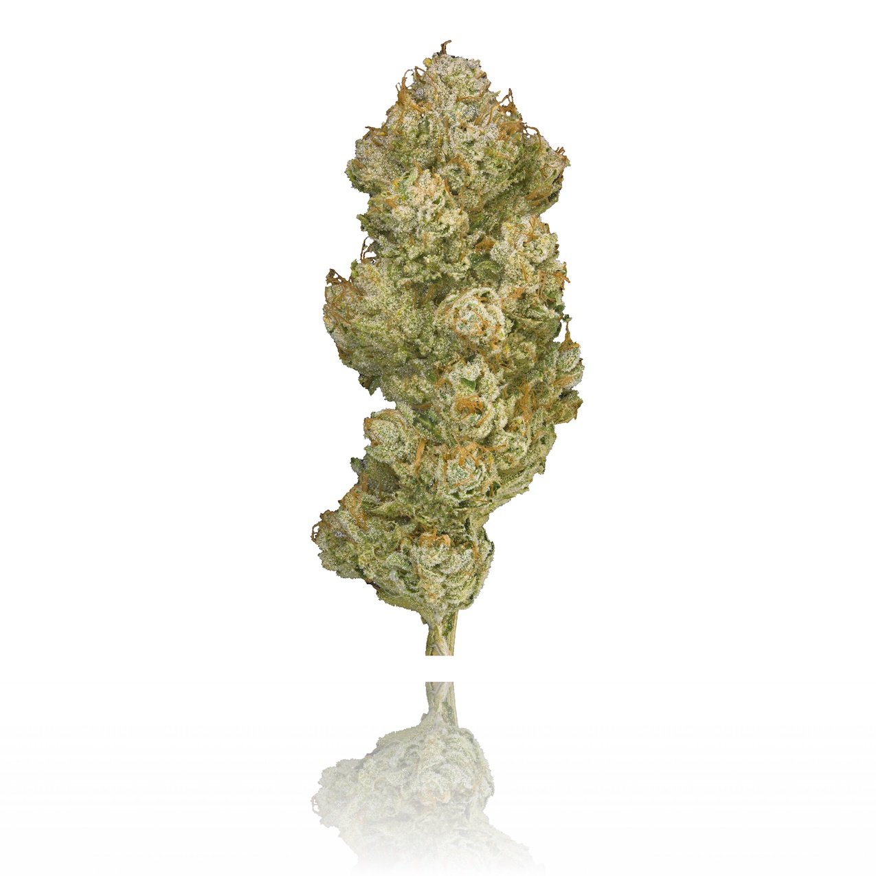 619 Saturn OG Marijuana Strain Information & Reviews | AllBud