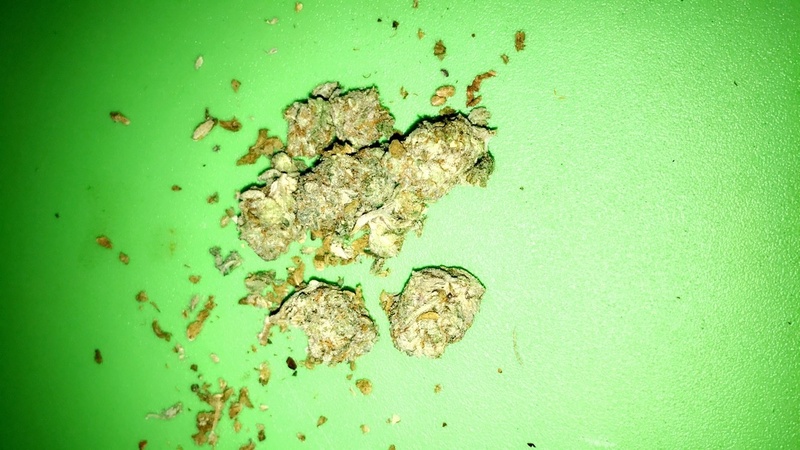 9 Pound Hammer | Marijuana Strain Reviews | AllBud