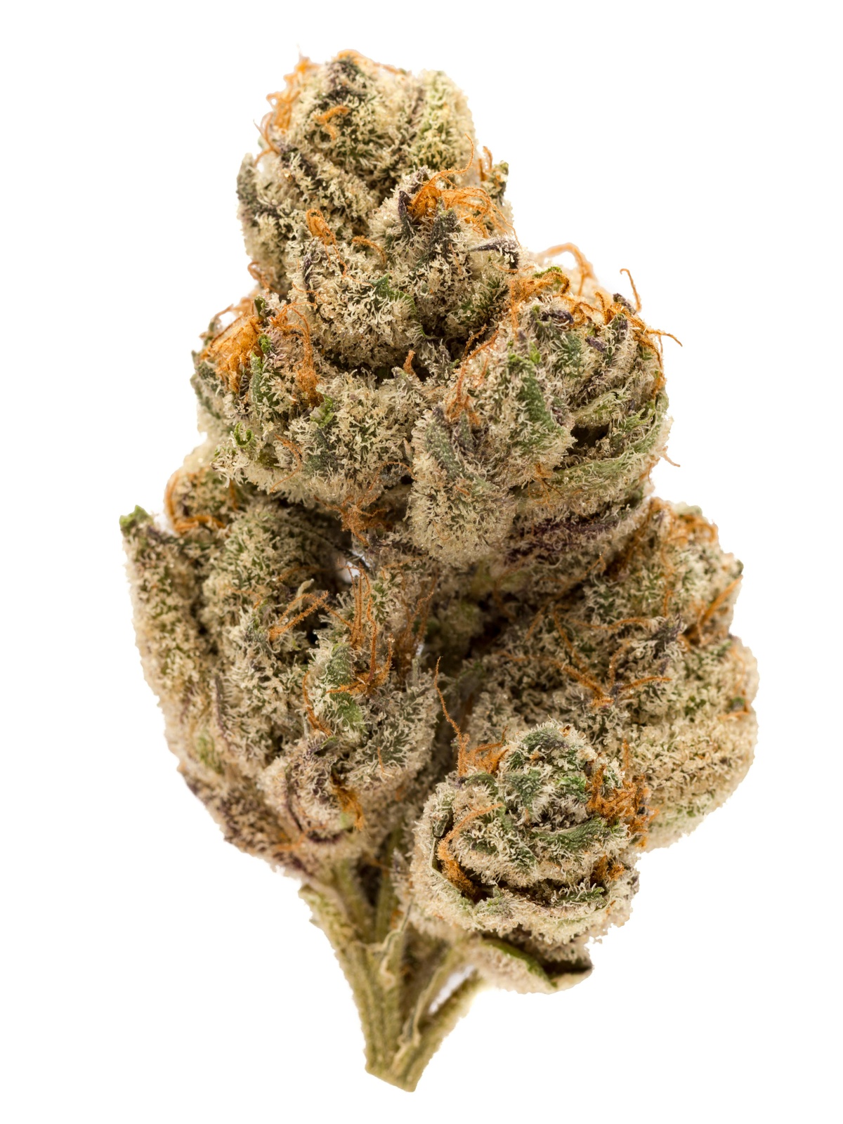 AC/Dosi Marijuana Strain Information & Reviews | AllBud