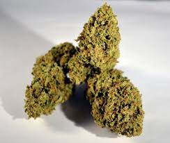 Ambrosia Haze Marijuana Strain Information & Reviews | AllBud