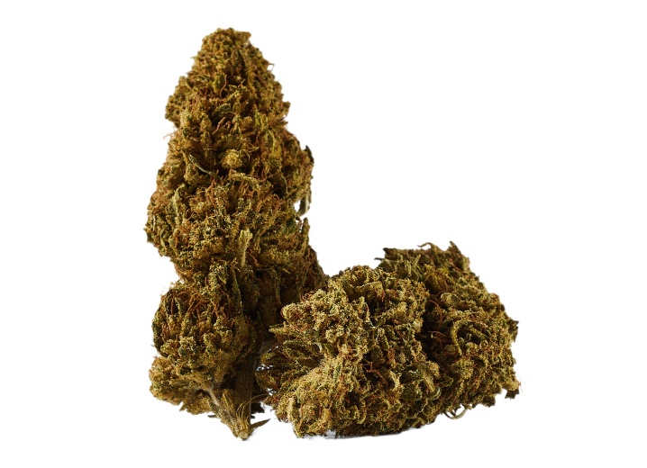 Amnesia XXL Marijuana Strain Information & Reviews | AllBud