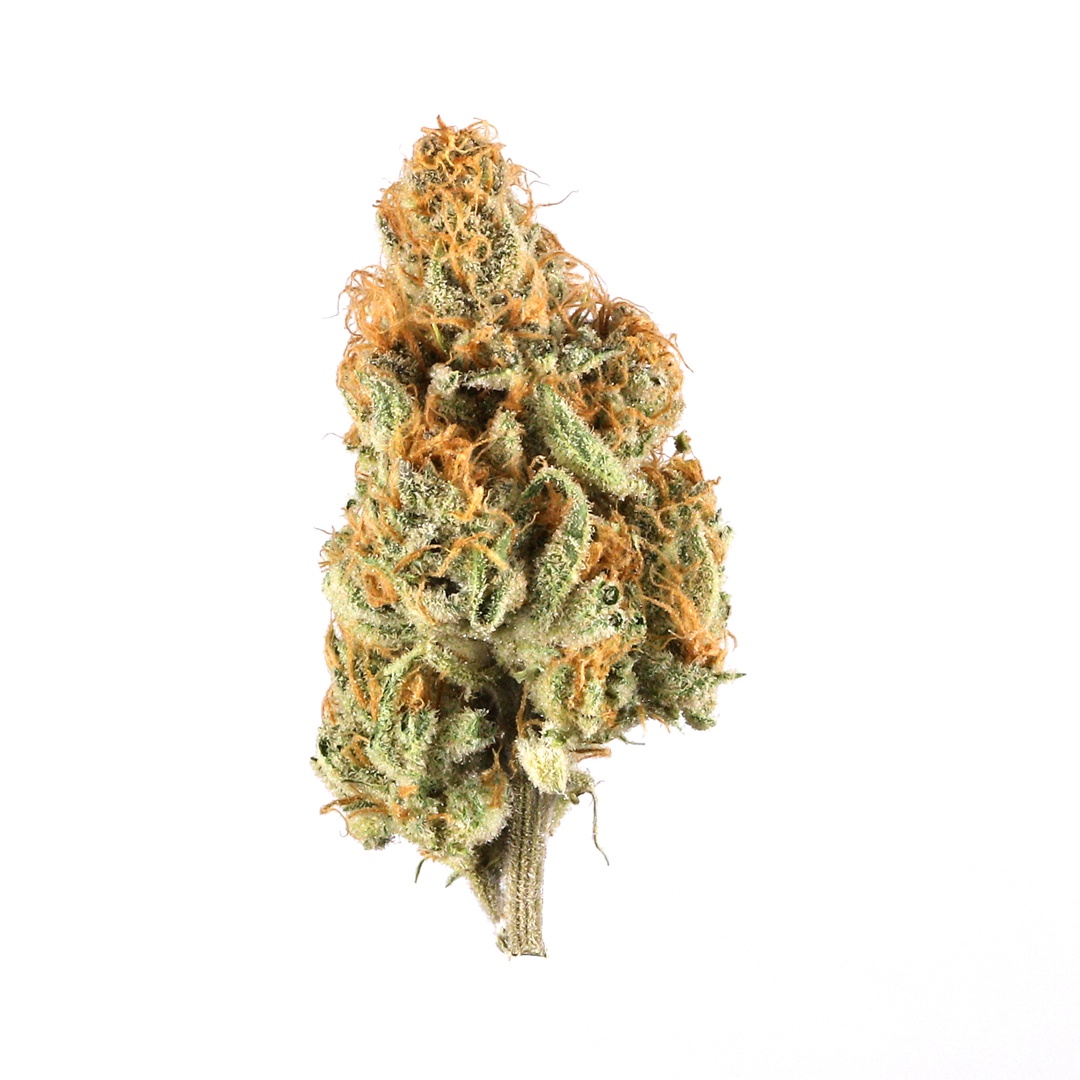 Black Lynx Marijuana Strain Information & Reviews | AllBud