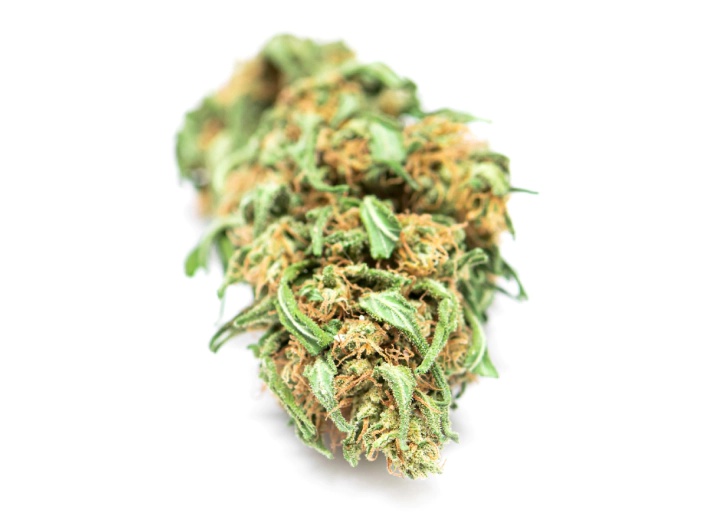 Blue Ryder Marijuana Strain Information & Reviews | AllBud