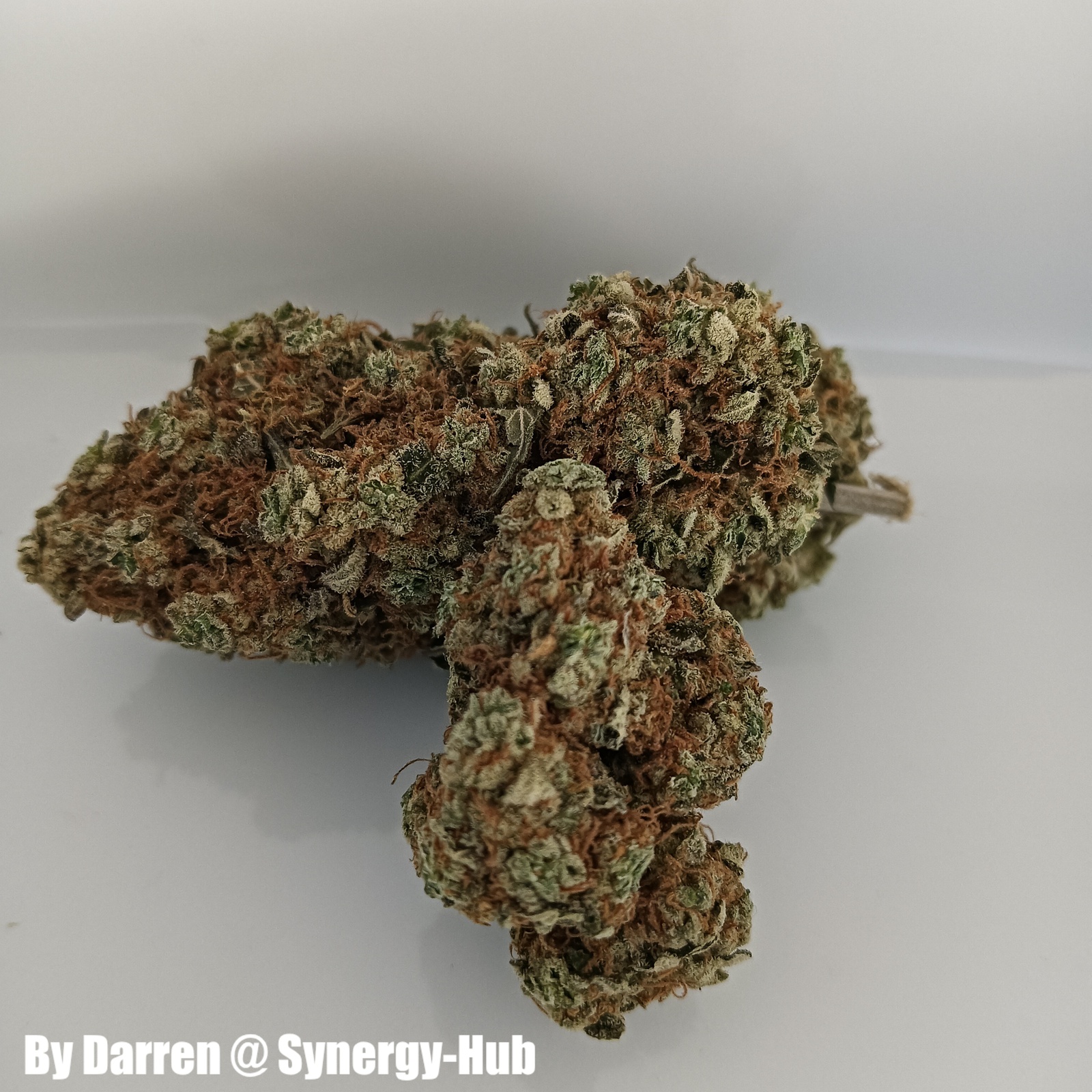 Cinnamon Buddha Marijuana Strain Information & Reviews | AllBud