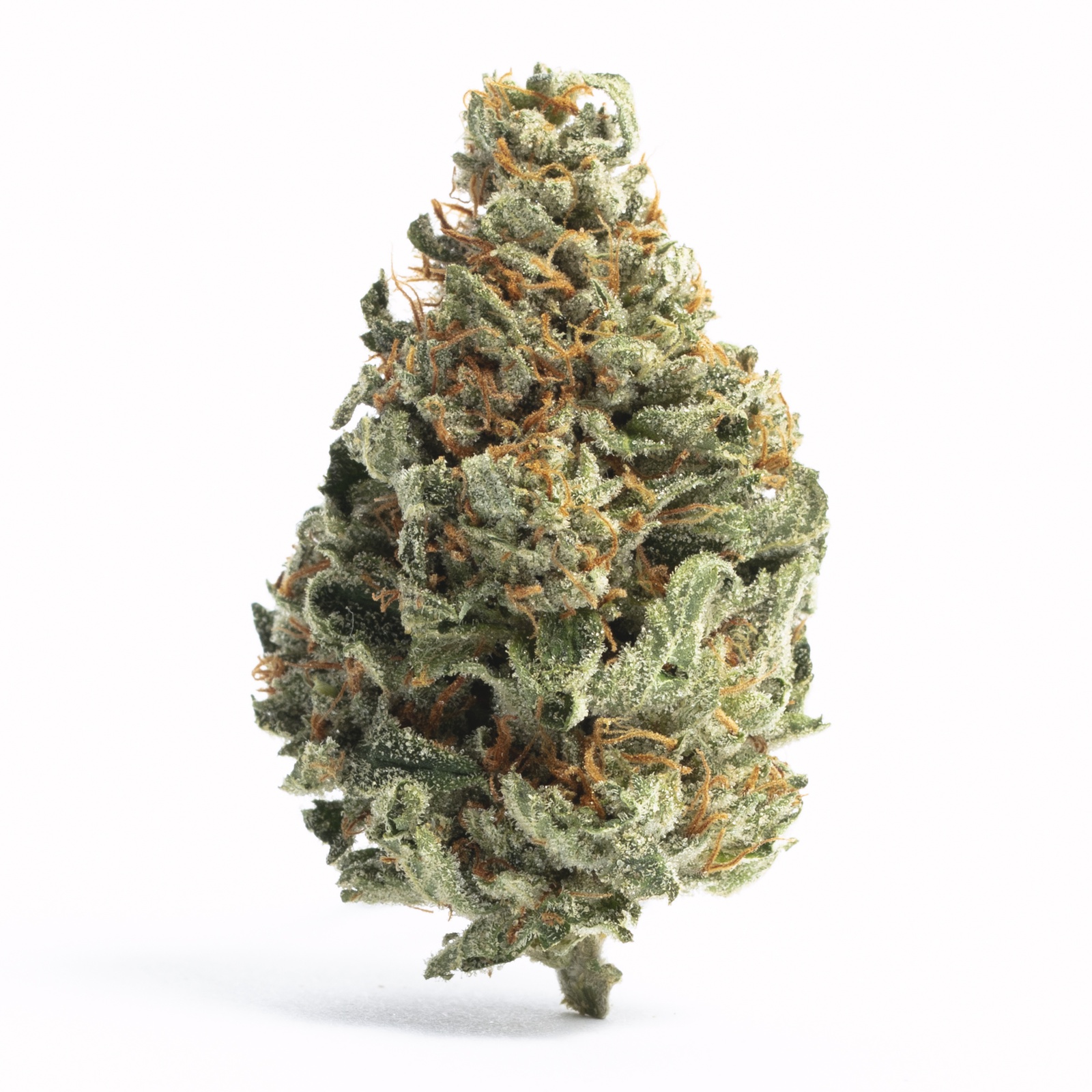 Coolio Marijuana Strain Information & Reviews | AllBud