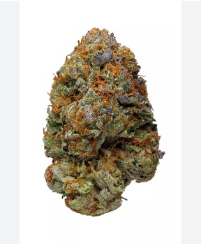 Cotton Candy Zkittlez Marijuana Strain Information & Reviews | AllBud