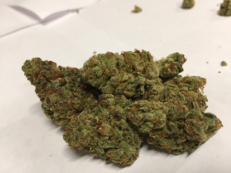 Doc Holiday Marijuana Strain Information & Reviews | AllBud