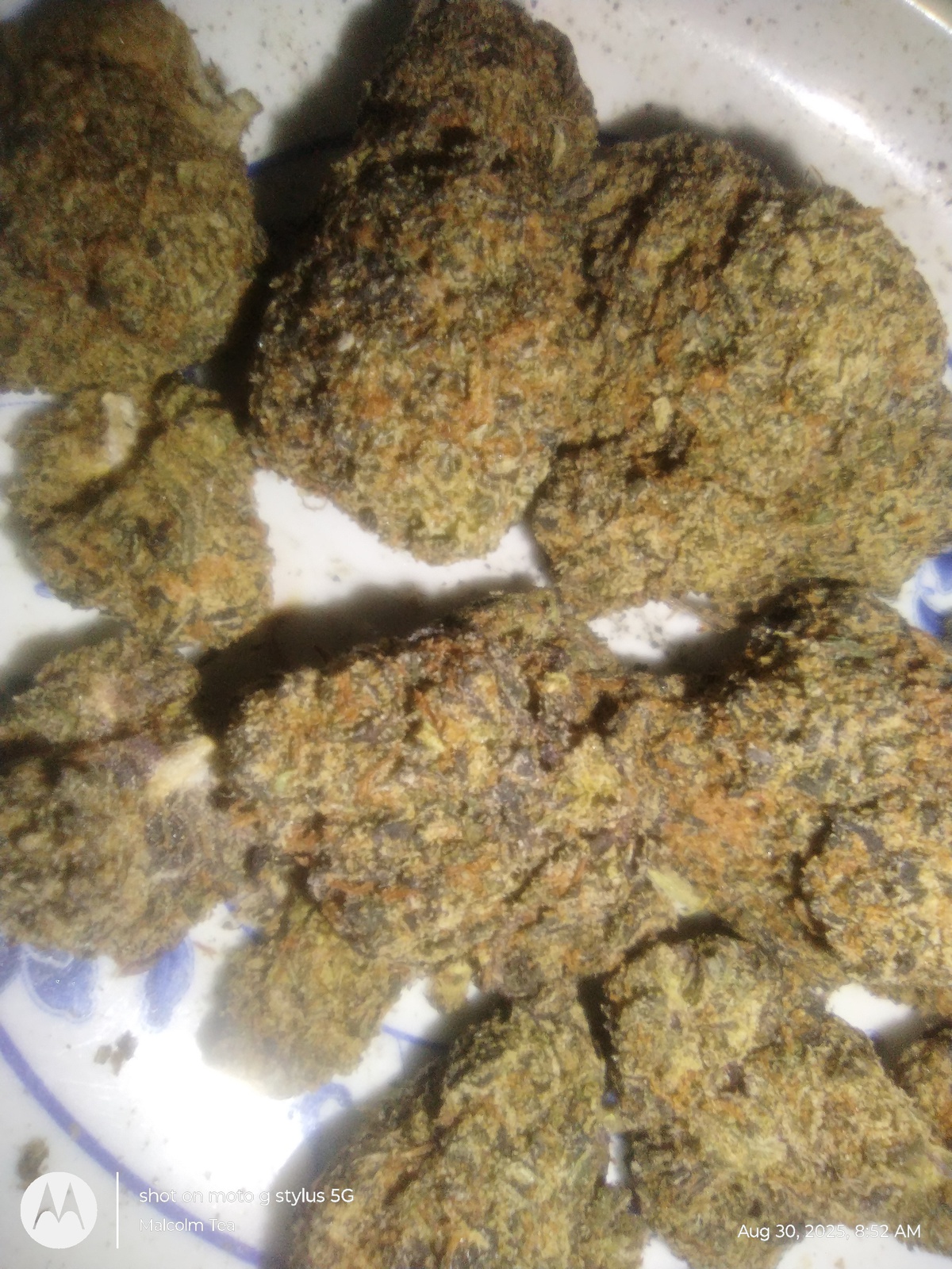 Enzo Kush Marijuana Strain Information & Reviews | AllBud