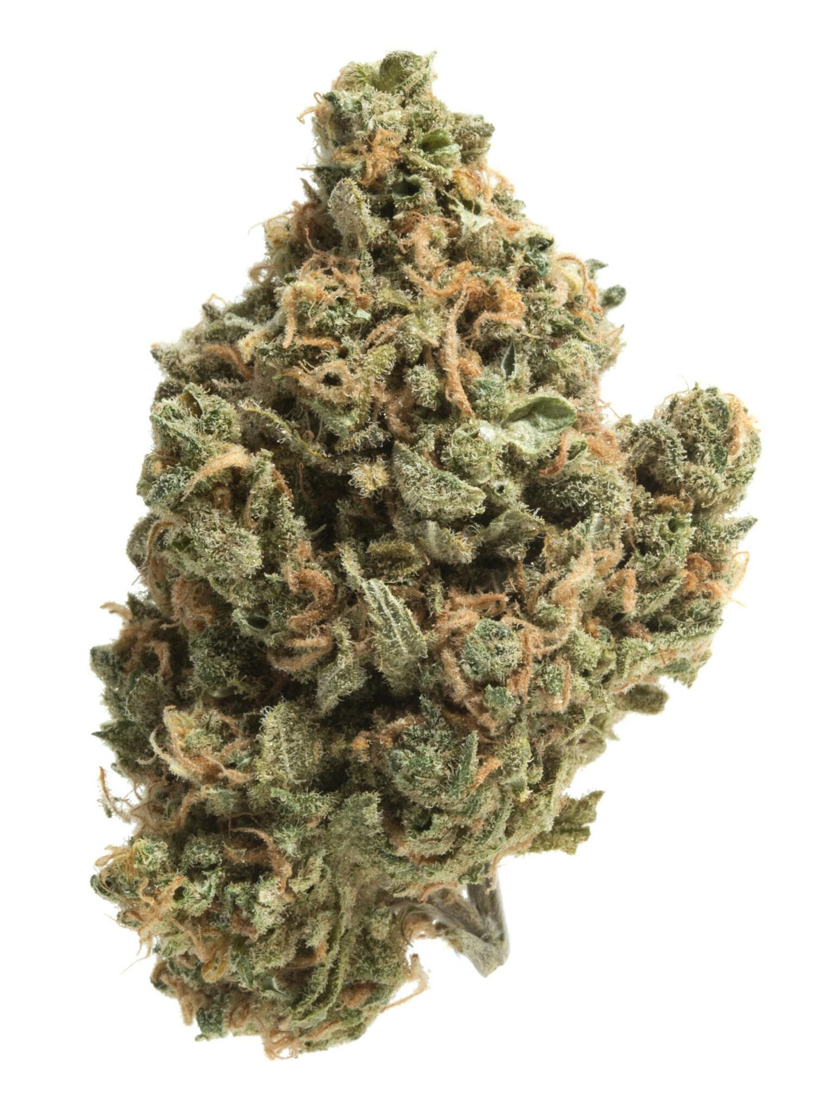 Fabuloso Marijuana Strain Information & Reviews | AllBud