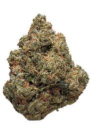 Flo-Band Marijuana Strain Information & Reviews | AllBud