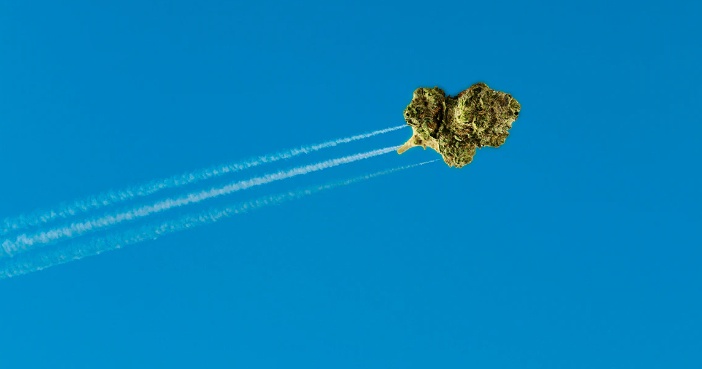 Flyboy Marijuana Strain Information & Reviews | AllBud