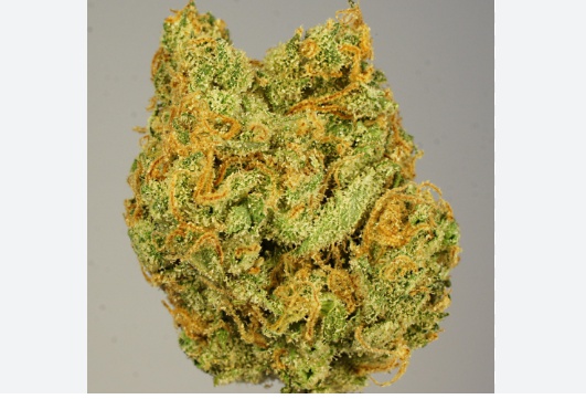 Foco Sage Marijuana Strain Information & Reviews | AllBud