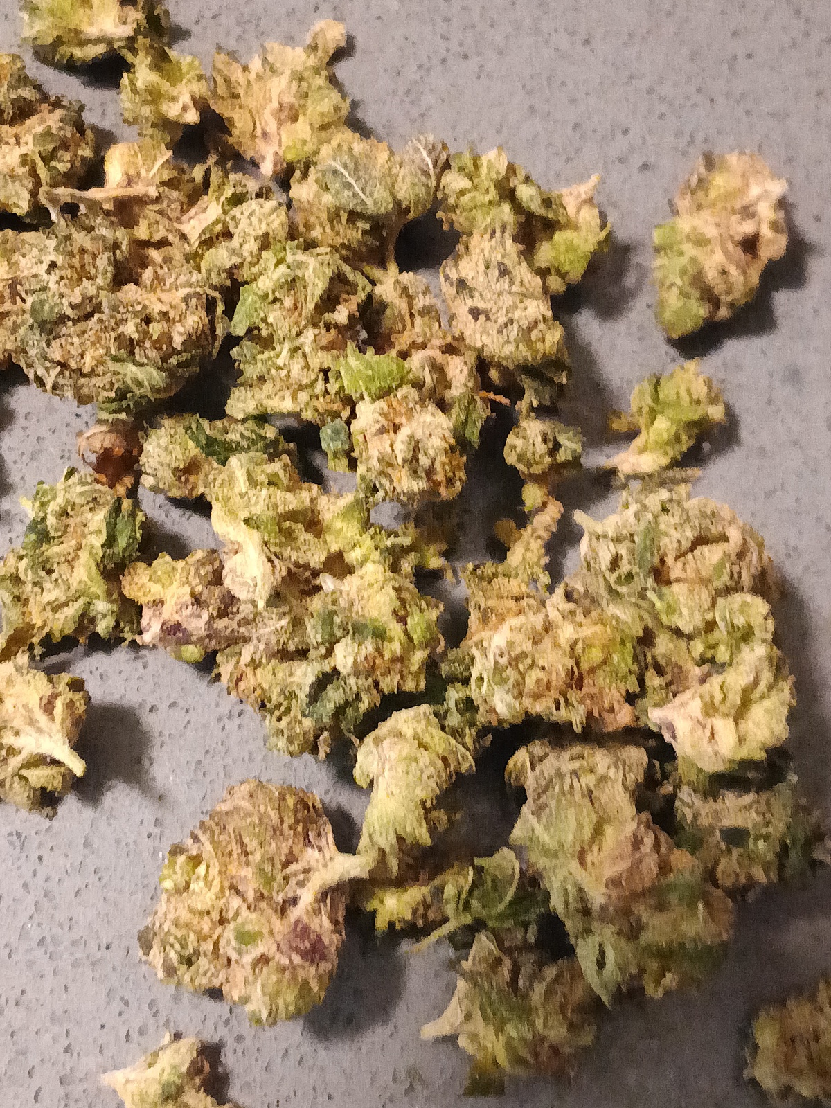 Galactic Warhead Marijuana Strain Information & Reviews | AllBud