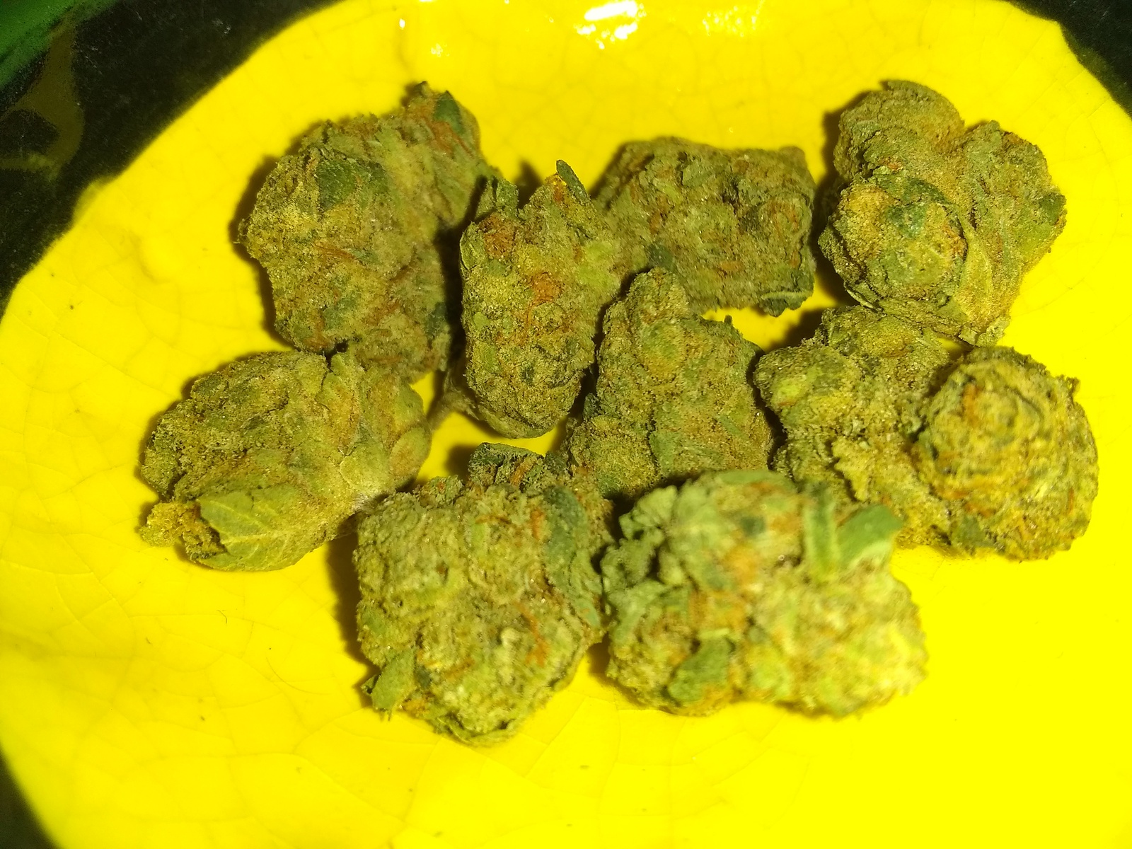 Garfield Marijuana Strain Information & Reviews | AllBud