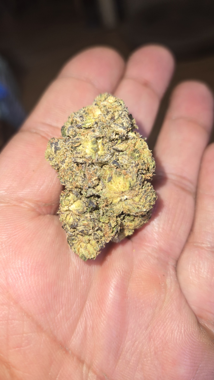 Garlic Budder Marijuana Strain Information & Reviews | AllBud