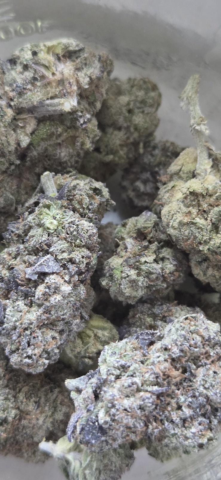 Gary Payton Marijuana Strain Information & Reviews | AllBud