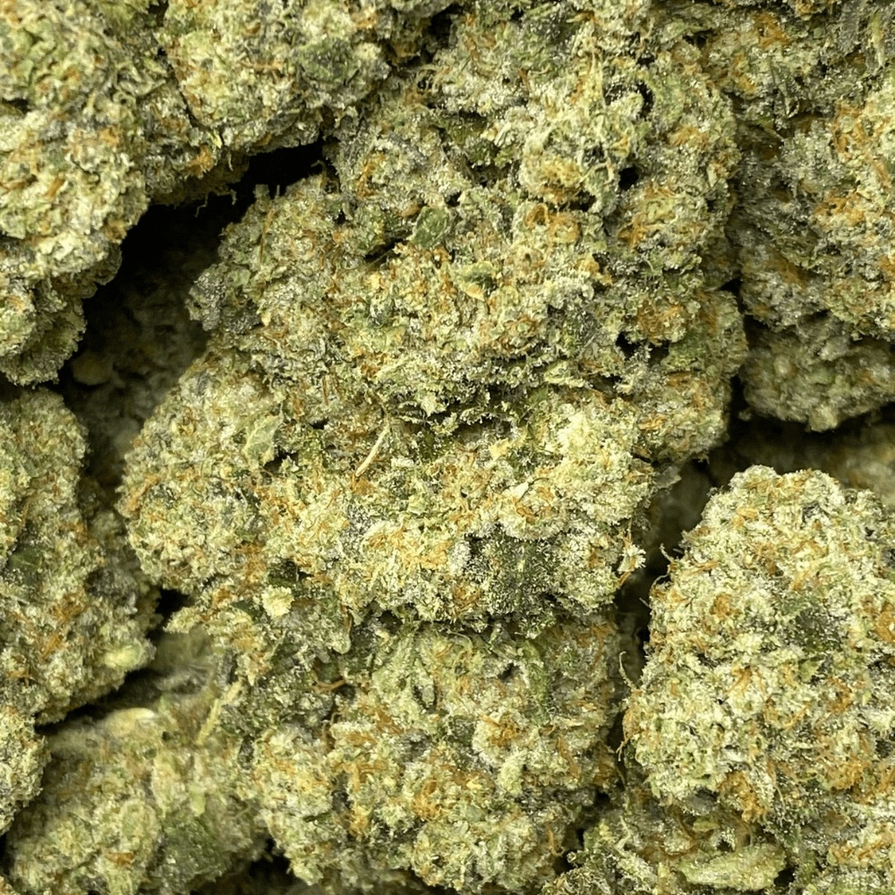 Ghost Biscotti Marijuana Strain Information & Reviews | AllBud