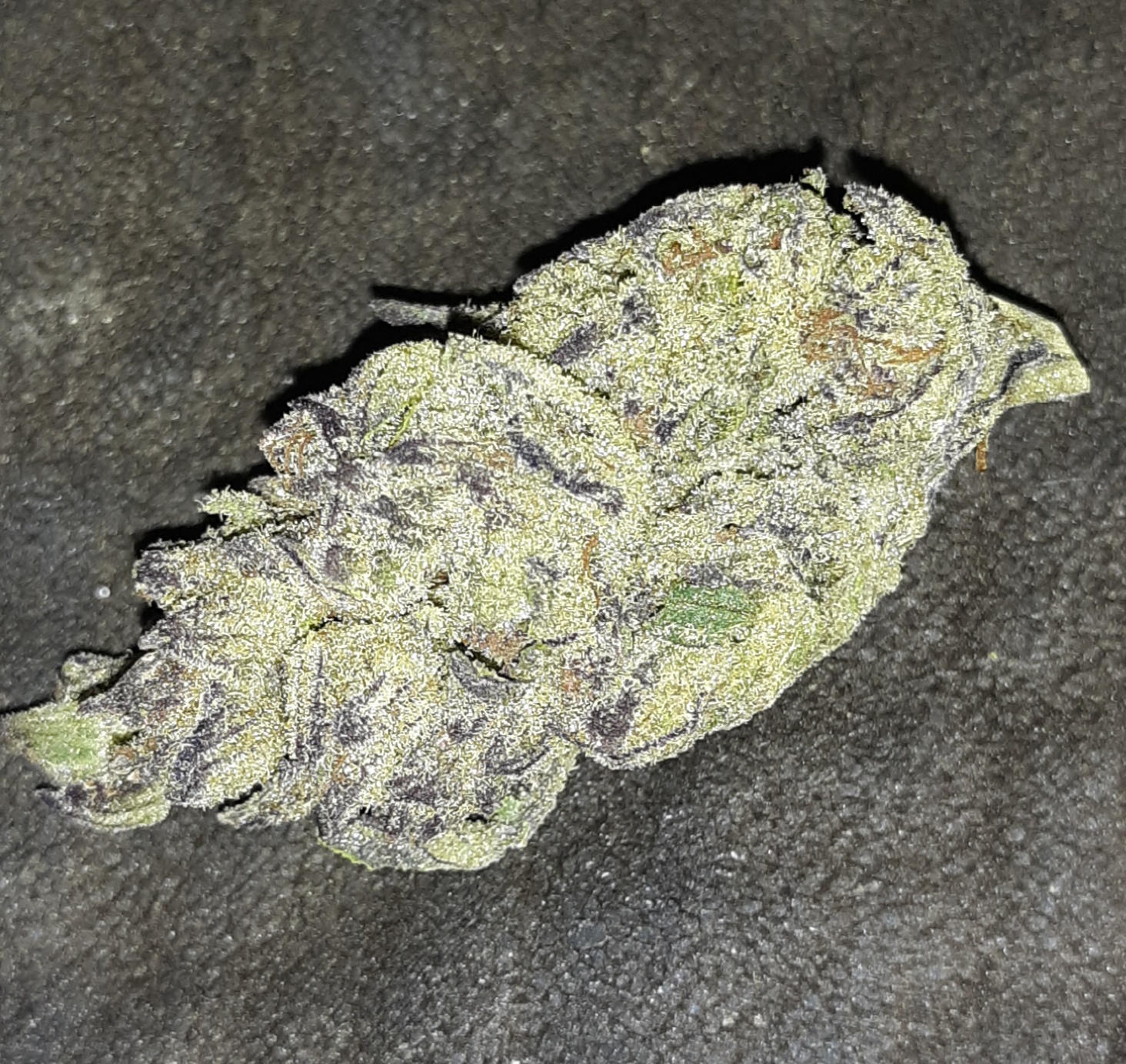 GMO Rootbeer Marijuana Strain Information & Reviews | AllBud