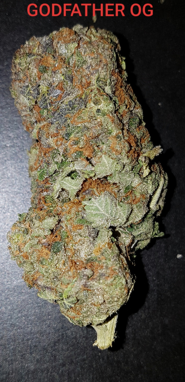 Godfather OG Kush Marijuana Strain Information & Reviews | AllBud