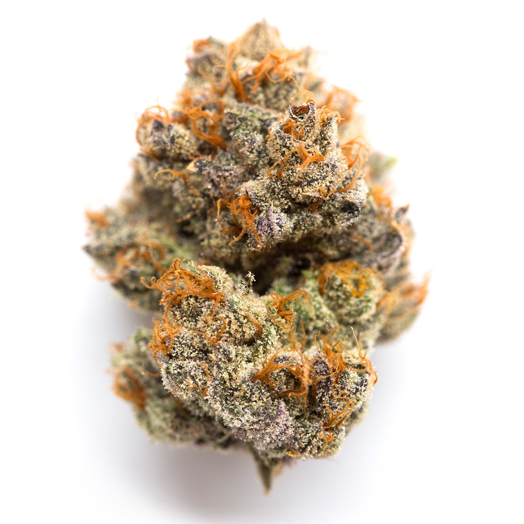 Granddaddy Pluto Marijuana Strain Information & Reviews | AllBud