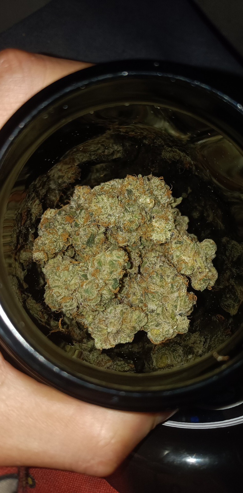 Grape Fanta Marijuana Strain Information & Reviews | AllBud