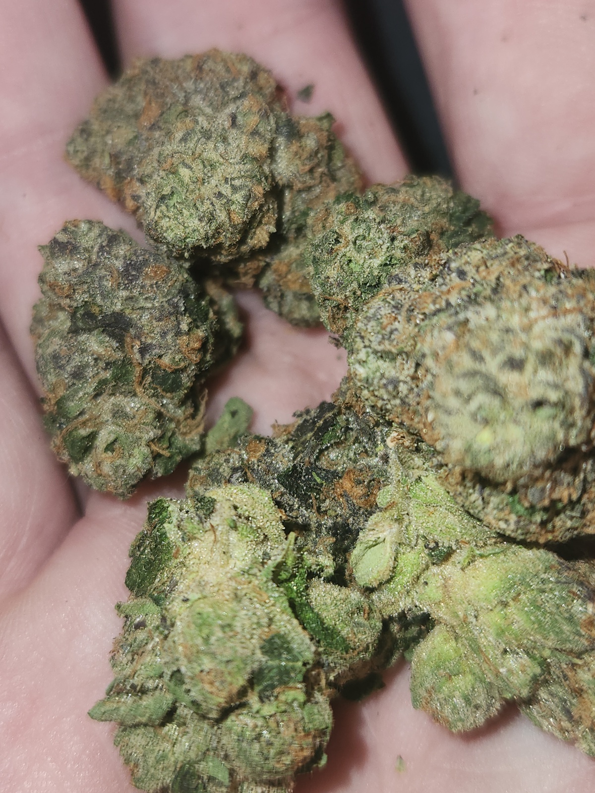 Grape Junky Marijuana Strain Information & Reviews | AllBud