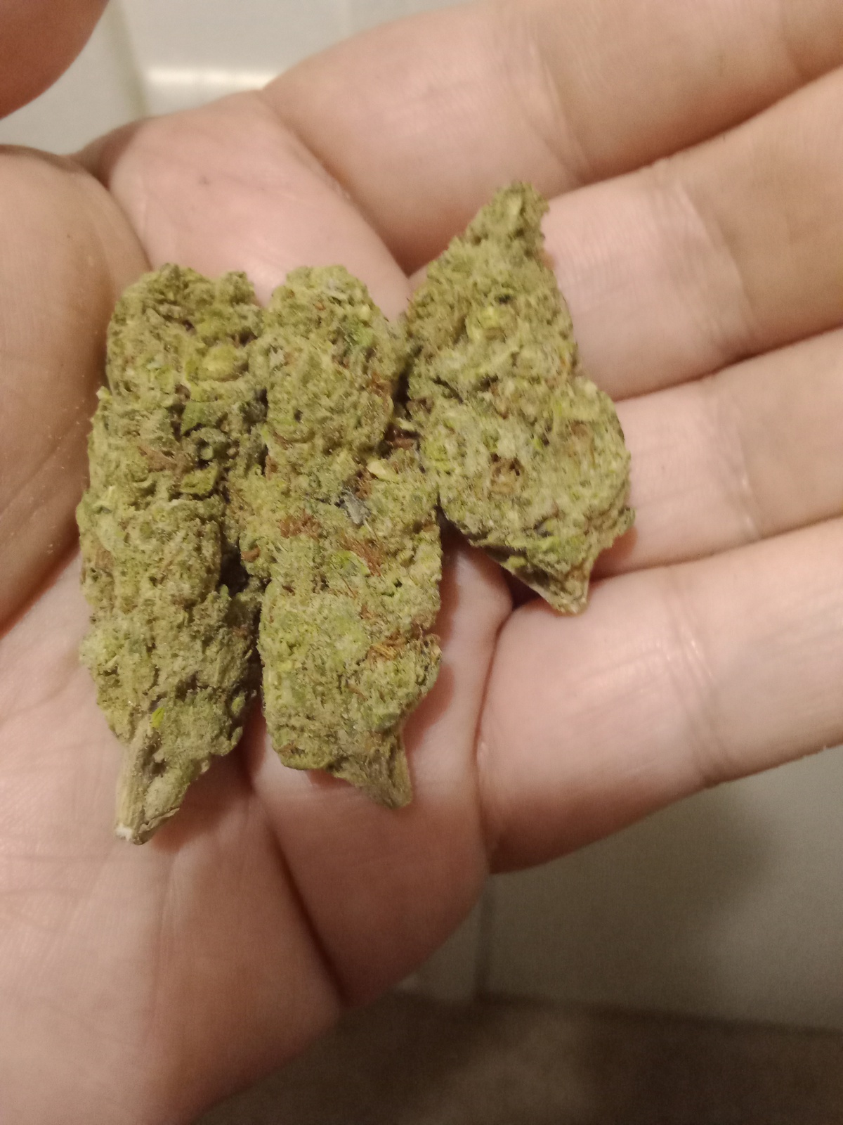 Green Monster Marijuana Strain Information & Reviews | AllBud