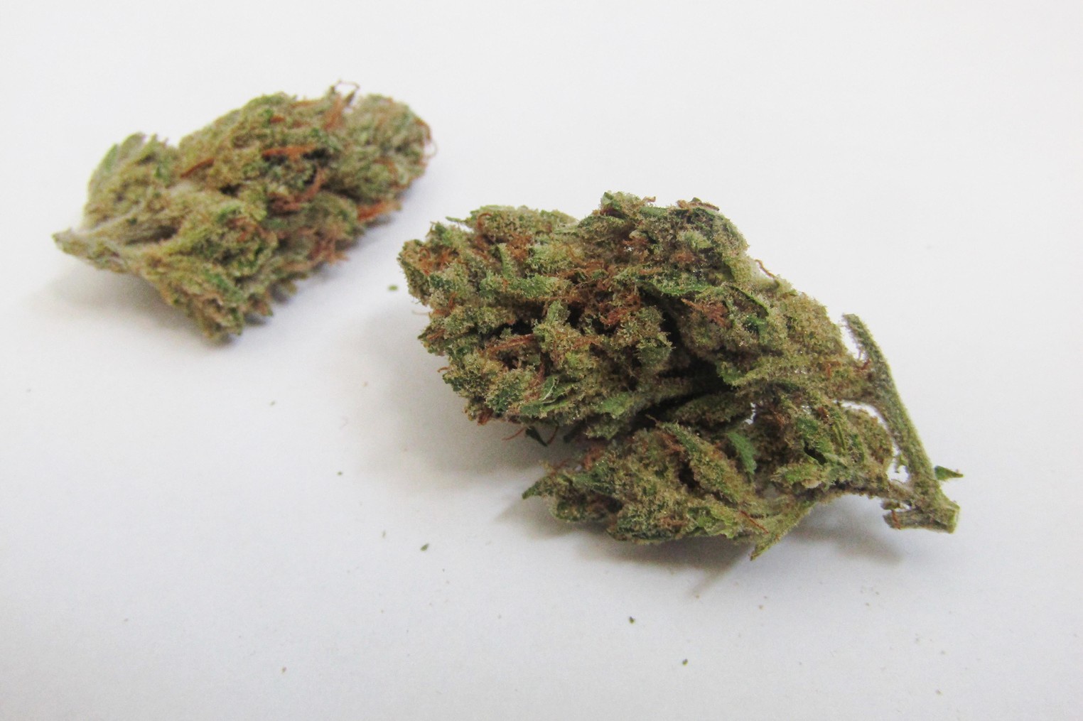 Gunpowder Haze Marijuana Strain Information & Reviews | AllBud