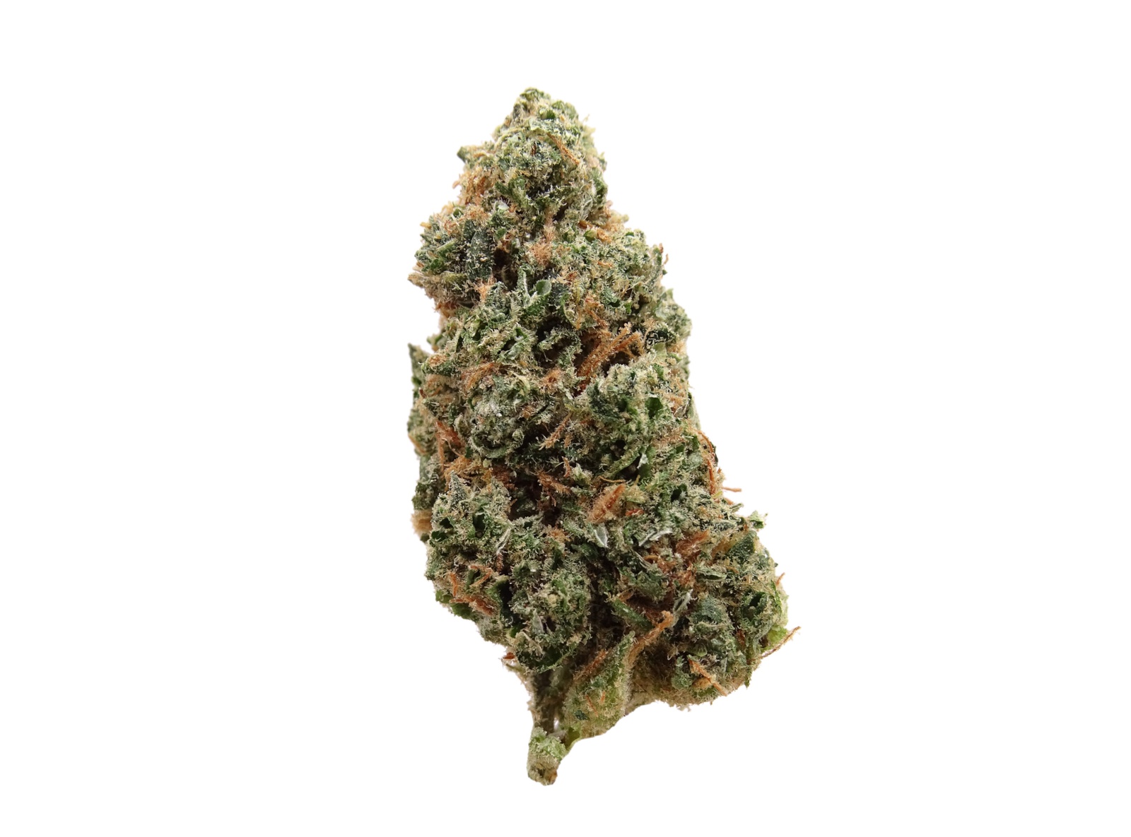 Haze Freak Marijuana Strain Information & Reviews | AllBud