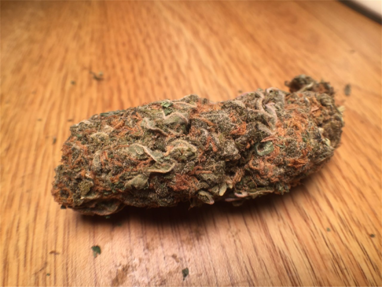Honey Melon Haze Marijuana Strain Information & Reviews | AllBud