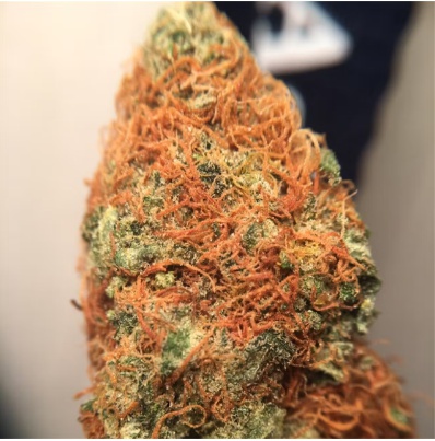 Hulk Pops Marijuana Strain Information & Reviews | AllBud