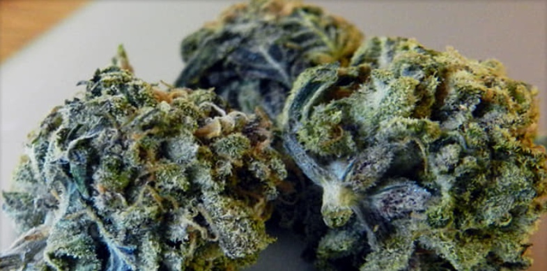 Island Dream Marijuana Strain Information & Reviews | AllBud
