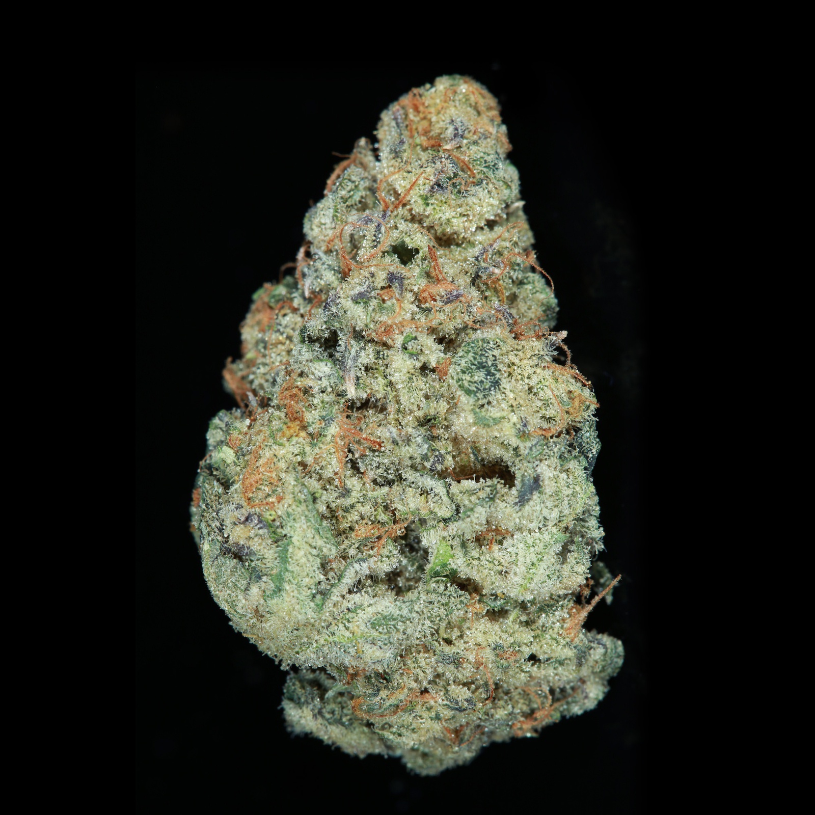 Jane Snow Marijuana Strain Information & Reviews | AllBud