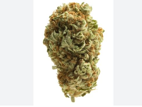 Kush Kitten Marijuana Strain Information & Reviews | AllBud