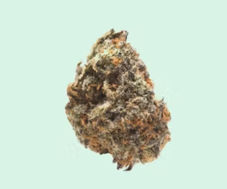 Kush Tarts Marijuana Strain Information & Reviews | AllBud