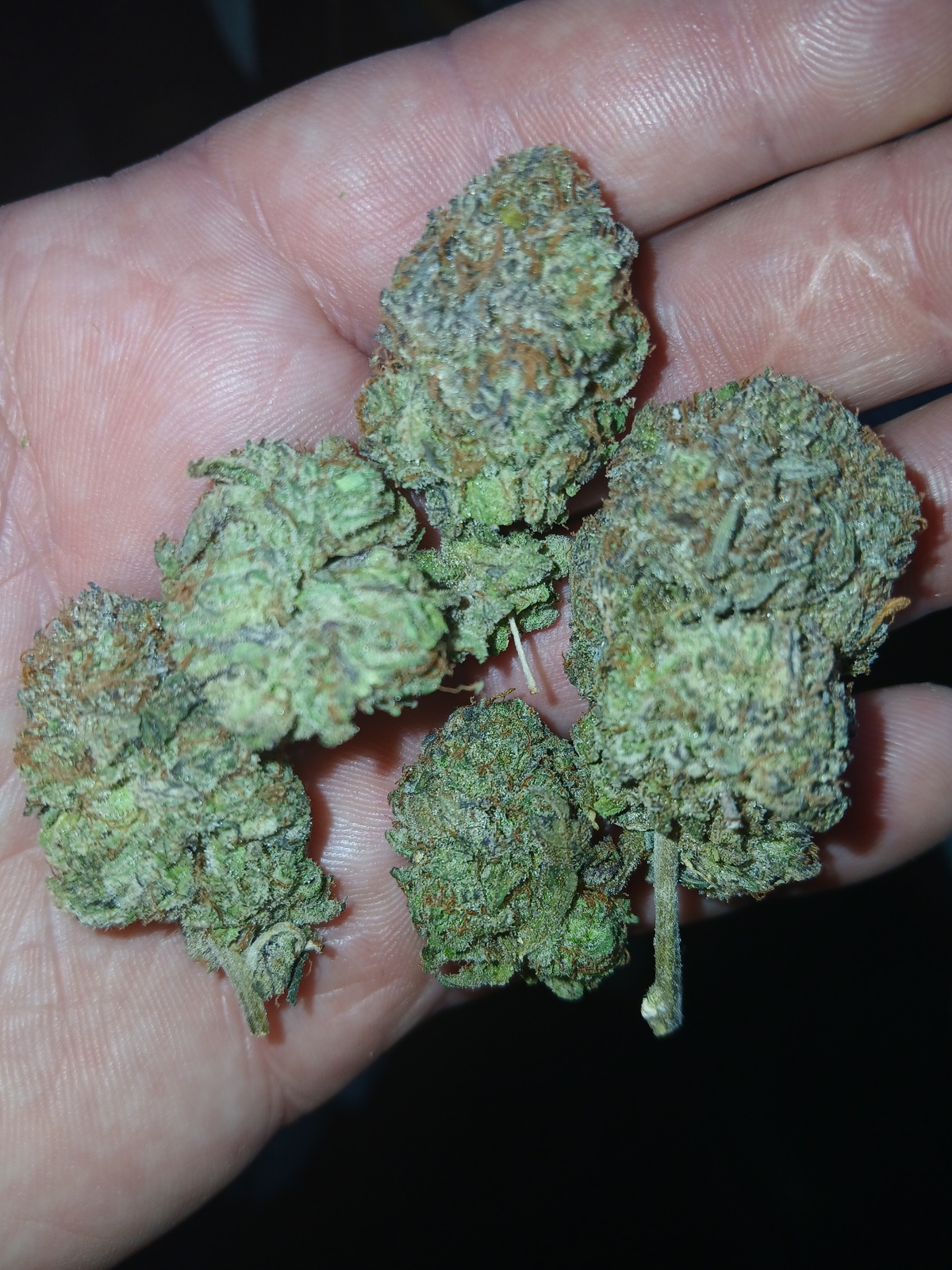 Lemon Cherry Runtz Marijuana Strain Information & Reviews | AllBud