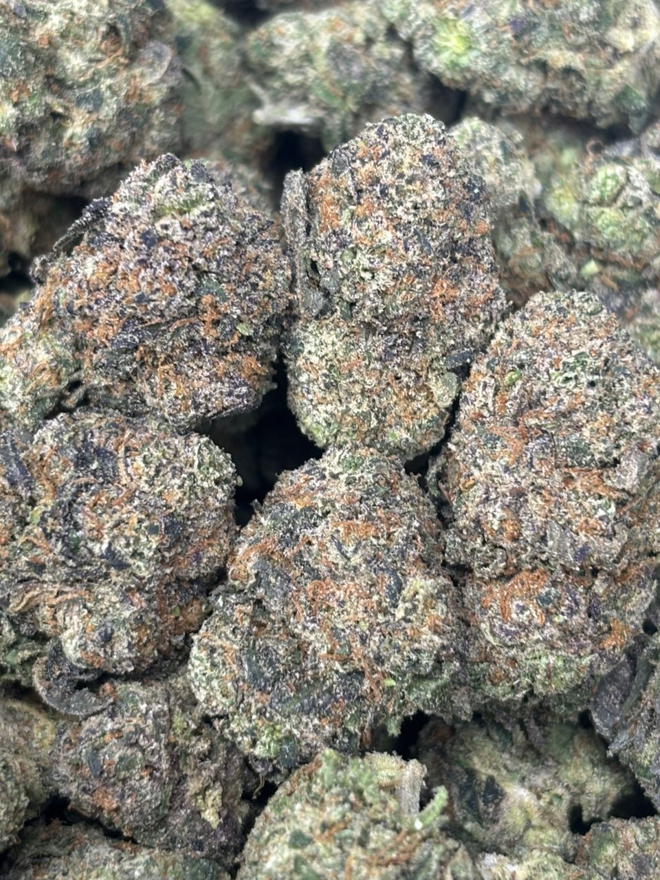 Lemon Drop Cookies Marijuana Strain Information & Reviews | AllBud