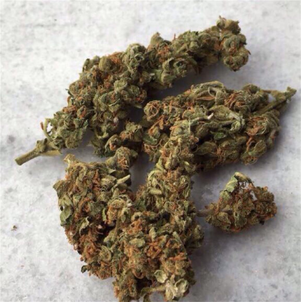 M1-56 Marijuana Strain Information & Reviews | AllBud