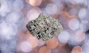 Magic Night Marijuana Strain Information & Reviews | AllBud