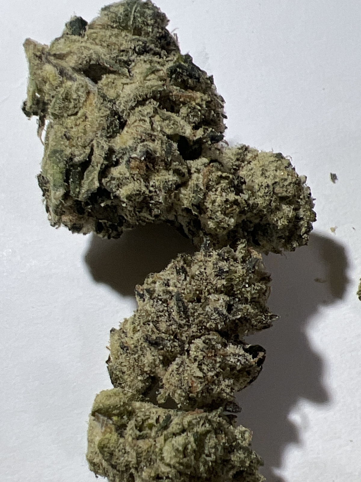 Magic Wand Marijuana Strain Information & Reviews | AllBud