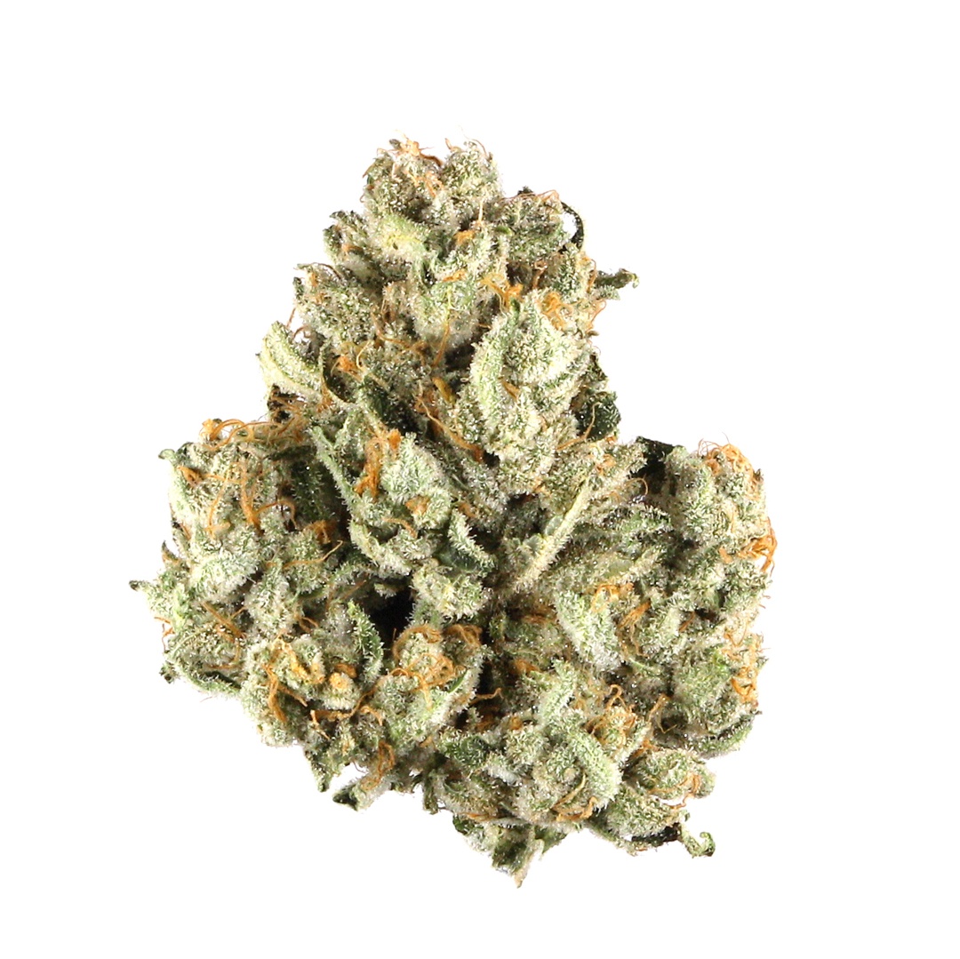 Melon Fizz Marijuana Strain Information & Reviews | AllBud