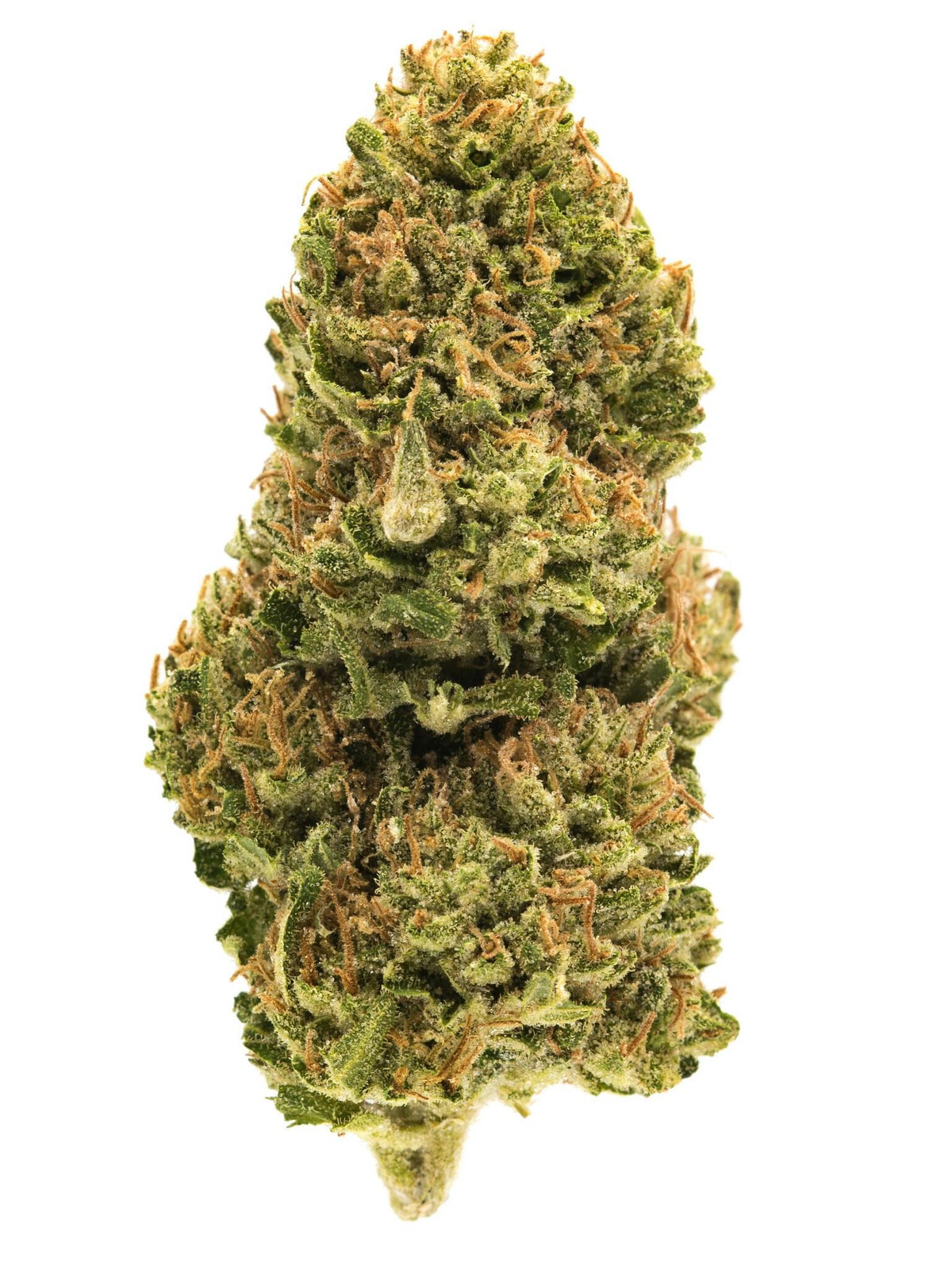 Mendo Cream Marijuana Strain Information & Reviews | AllBud