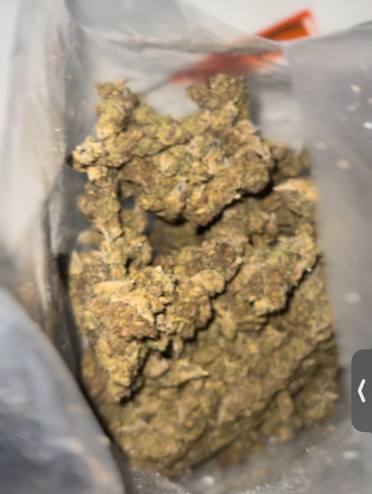 Mexican Red Hair Marijuana Strain Information & Reviews | AllBud