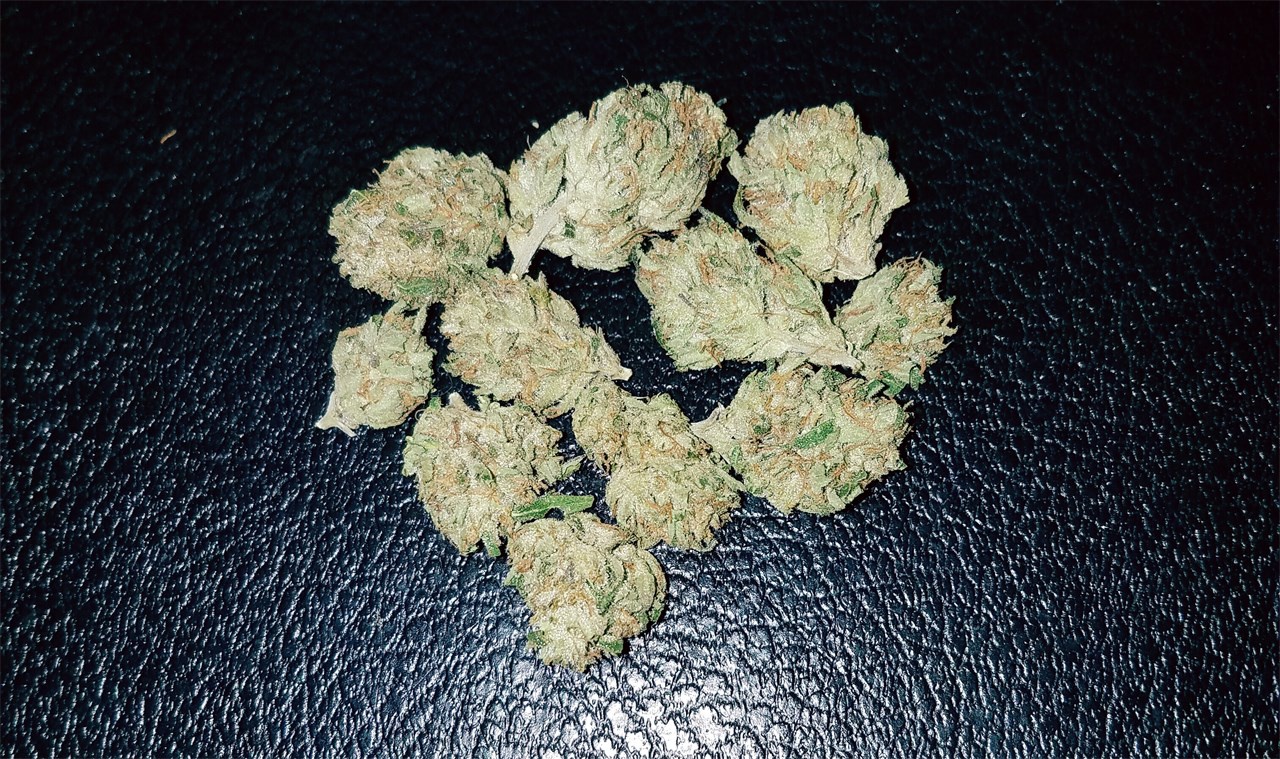 Modified Rootbeer Marijuana Strain Information & Reviews | AllBud
